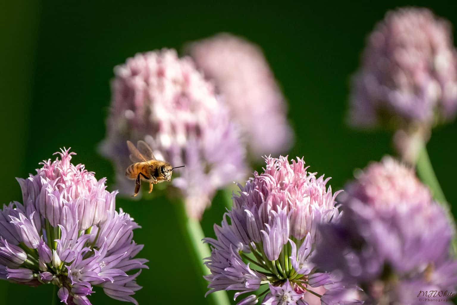 New GRI Standard Update! – Sustainability Within Reach